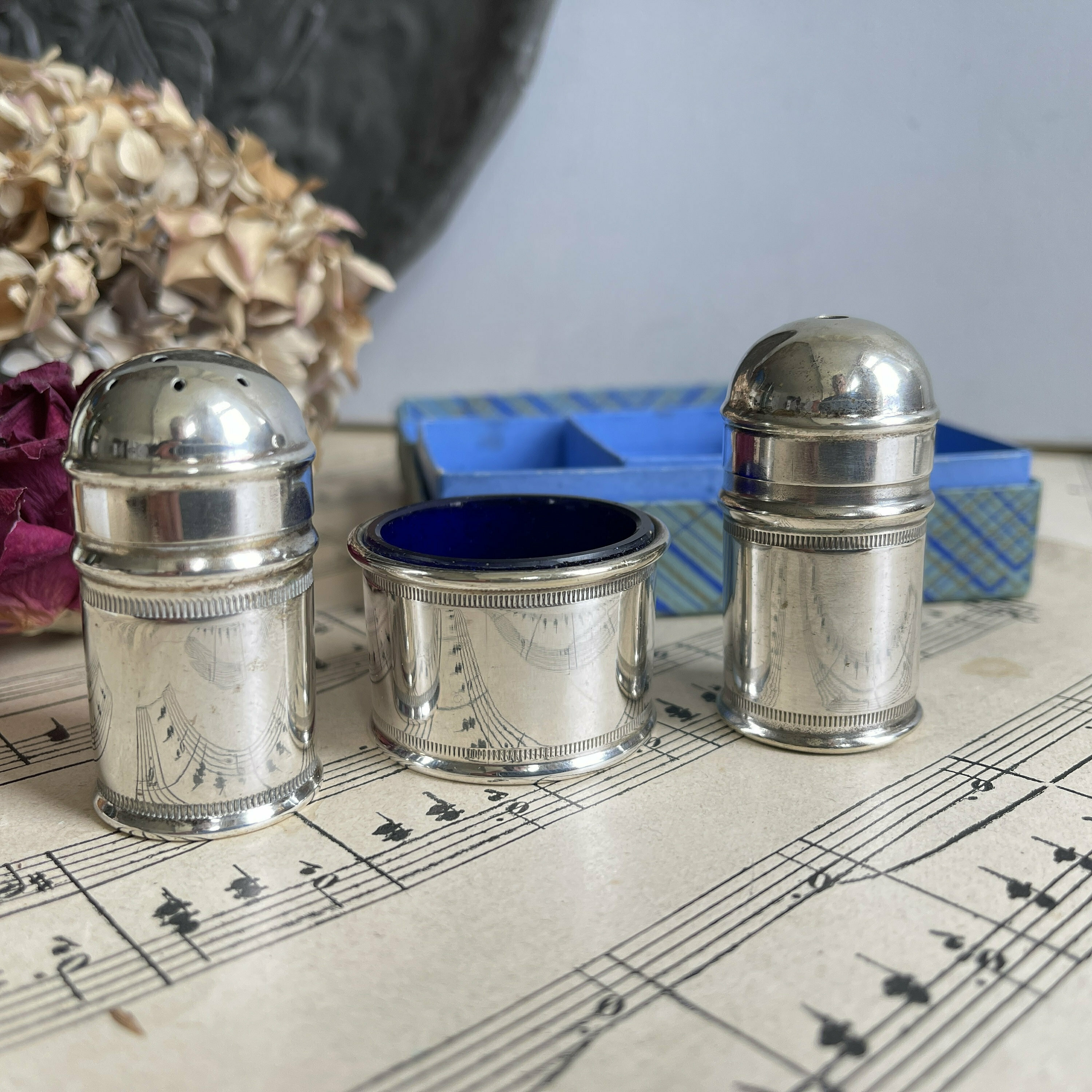 Vintage Silver Plated Cruet Set Salt Pepper And Mustard Container With Bristol Blue Glass Liners Shabby Chic Photo Prop Vinterior