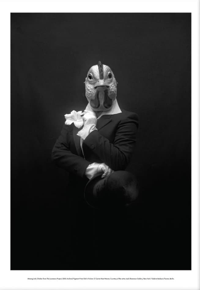 Original Carrie Mae Weems Exhibition Print Missing Link (Chicken ...