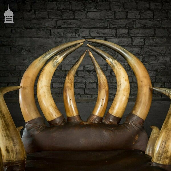 19th C Longhorn Steer Throne Chair With Turned Oak Legs | Vinterior