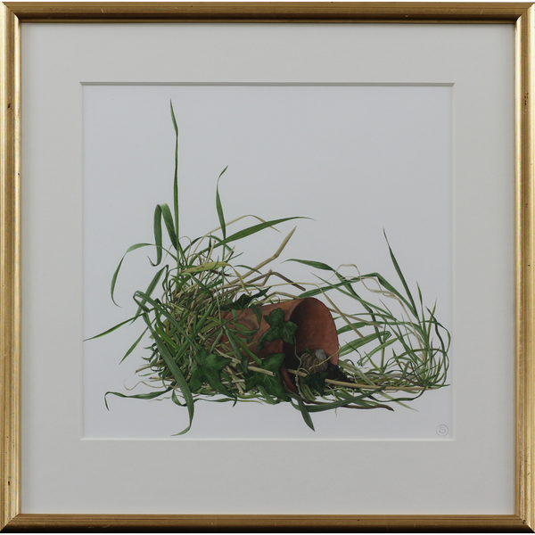 Watercolour By Susan Ogilvy. "Flower Pot In Long Grass". | Vinterior