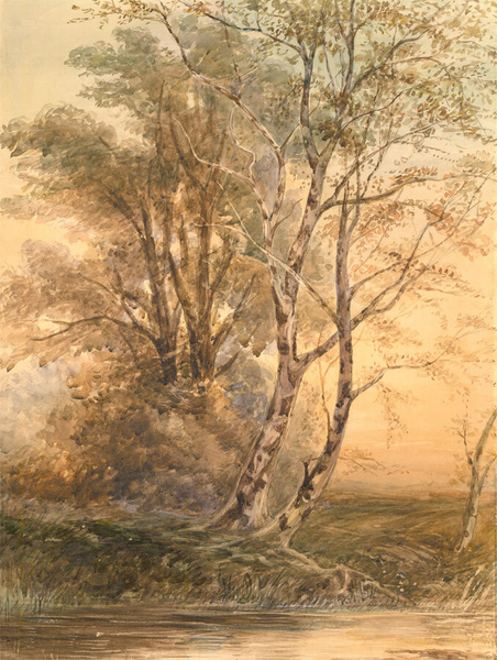 Early 20th Century Watercolour Brook At Dawn | Vinterior