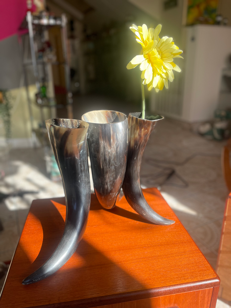 Triple Water Buffalo Horn Vase | Vinterior