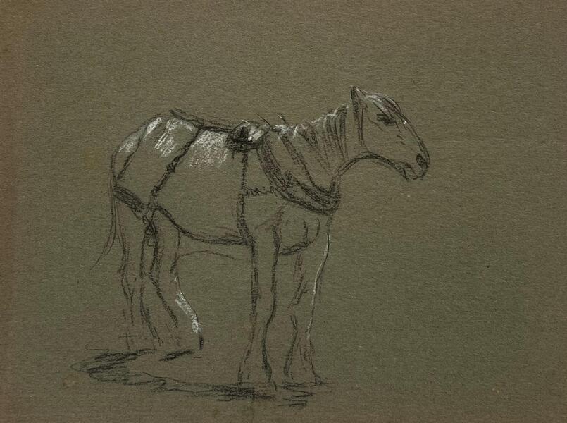 John Rabone Harveybritish Chalk Pencil Sketch Of A Ready Horse Tacked ...