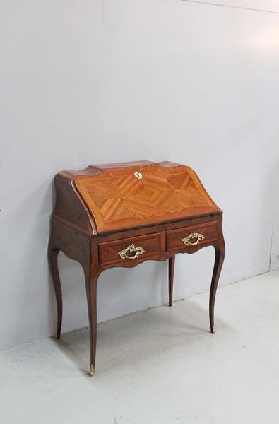 1700s Antique Brown Mahogany Storage Secretary Desk | Vinterior