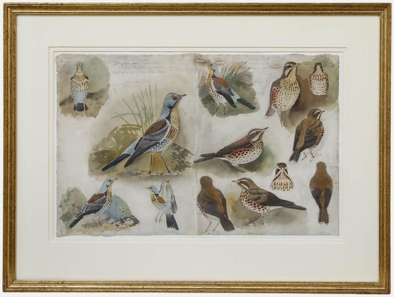 James Thomas Armour Osborne (1907 1979) Watercolour, Fieldfare And ...