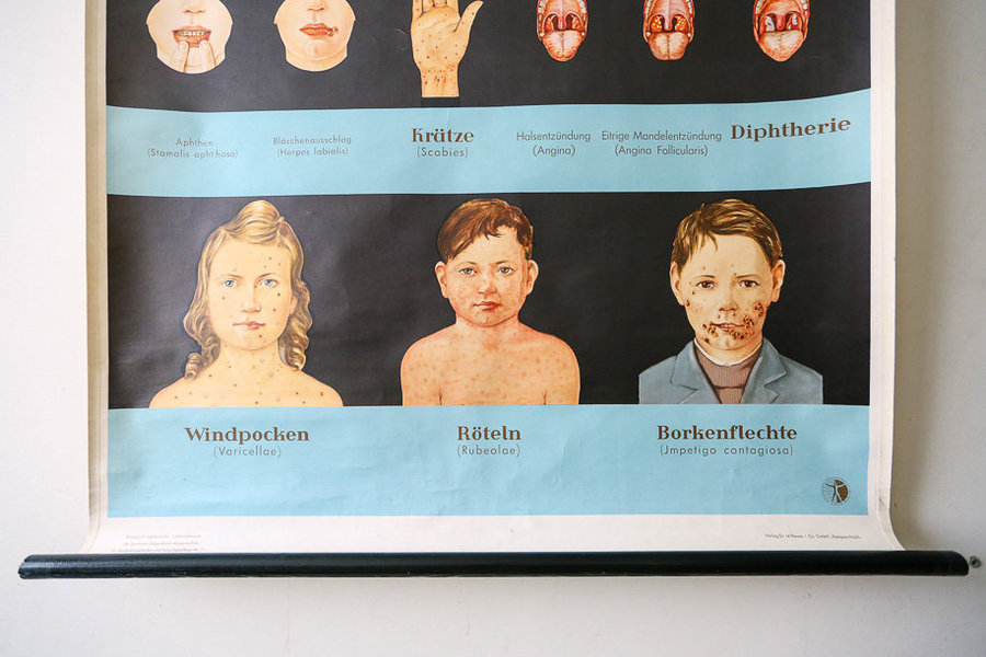 German Vintage Brown Paper Educational Chart 90x119cm | Vinterior