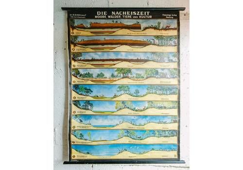 Vintage German Wall Chart Formation Of Physical Geography Geographical ...