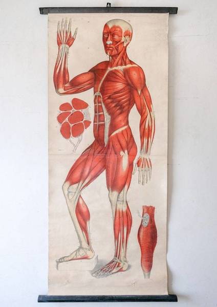 Architectural Drawings Art & Collectibles Vintage Adam Rouilly & Co ...