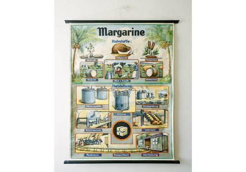 Vintage German Wall Chart Formation Of Physical Geography Geographical ...