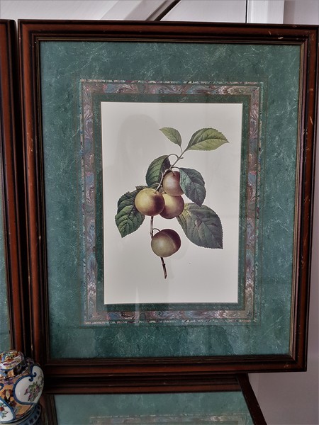 Pair Of Large, Antique Fruit Prints In Wood Frames | Vinterior